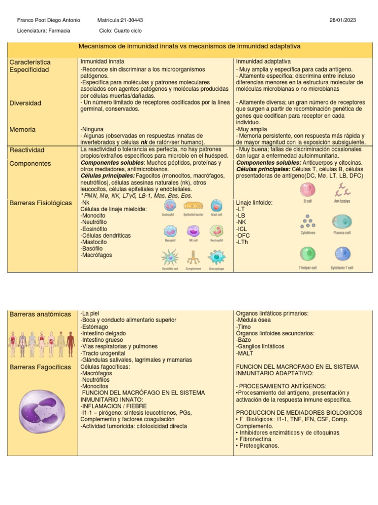 Comparativa: Inmunidad Innata y Adaptativa | PDF | Sistema inmune ...
