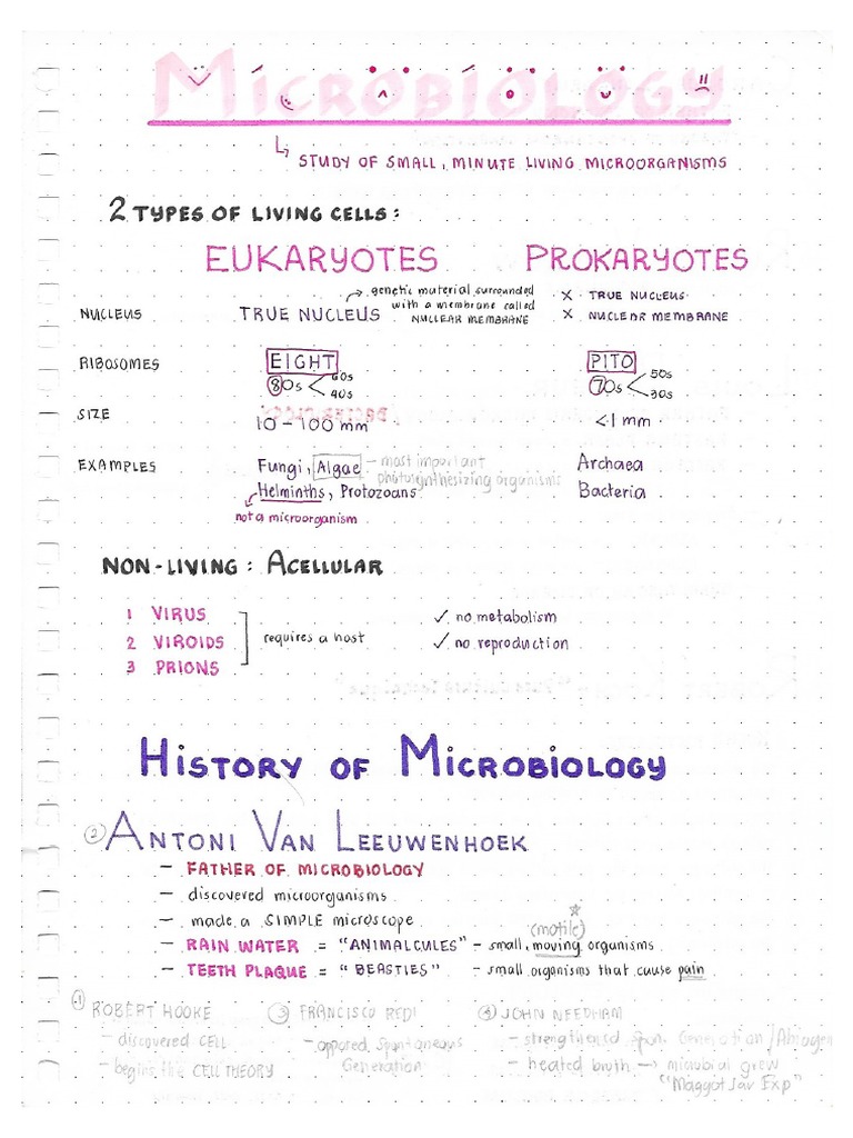 Module 6 Notes (MBMS) | PDF