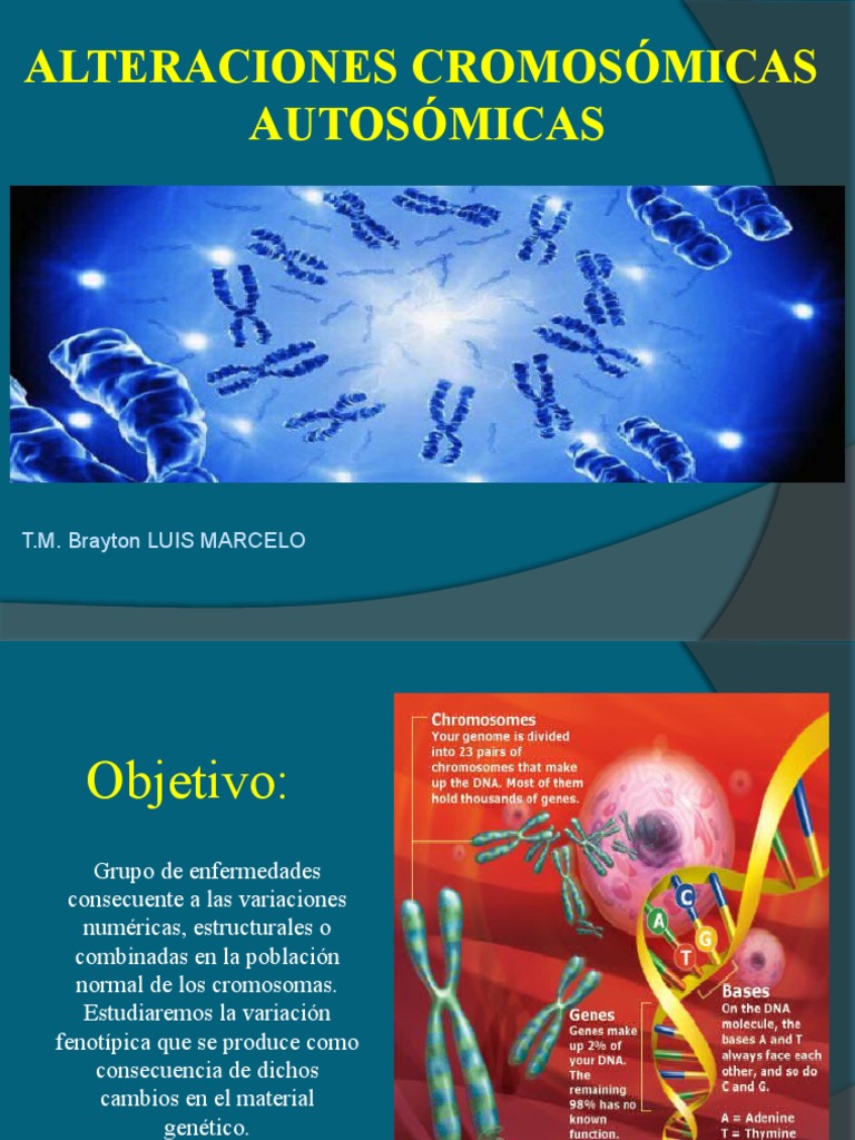 Alteraciones Cromosomicas Autosomicas | PDF | Cromosoma | Genética
