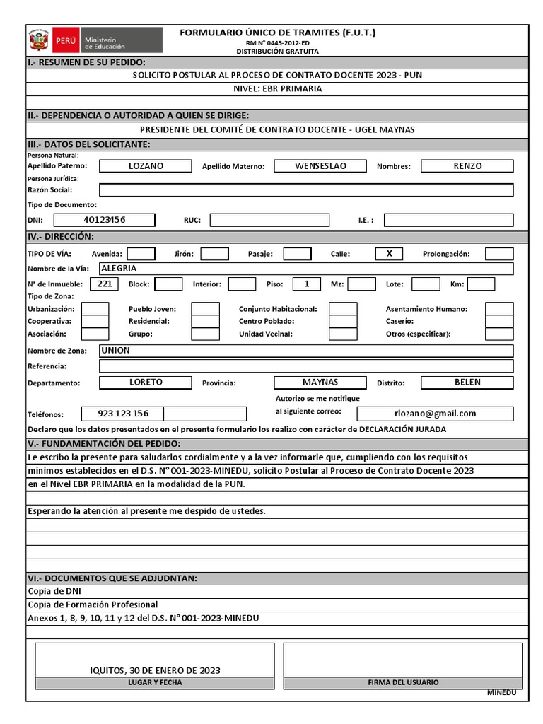 Modelo Llenado FUT | PDF