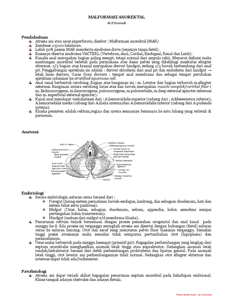 Malformasi Anorektal | PDF | Ilmu Sosial | Sains & Matematika