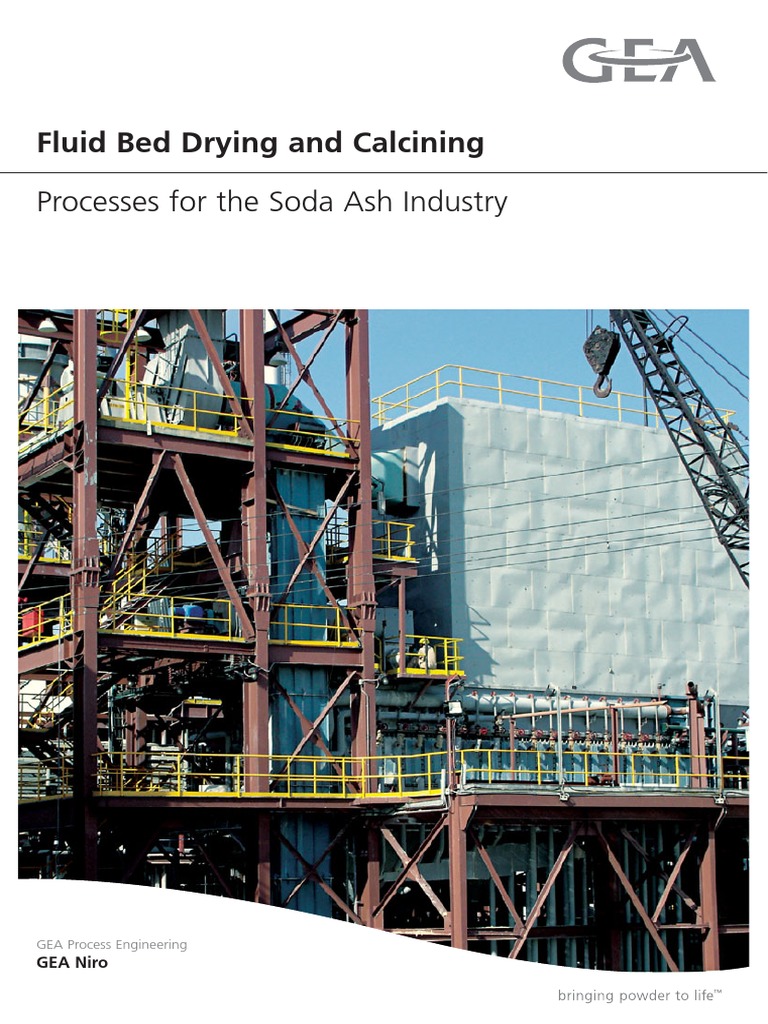 Drying Fluid Bed Calcining Soda Ash Gea Tcm11 34879 | PDF | Sodium ...