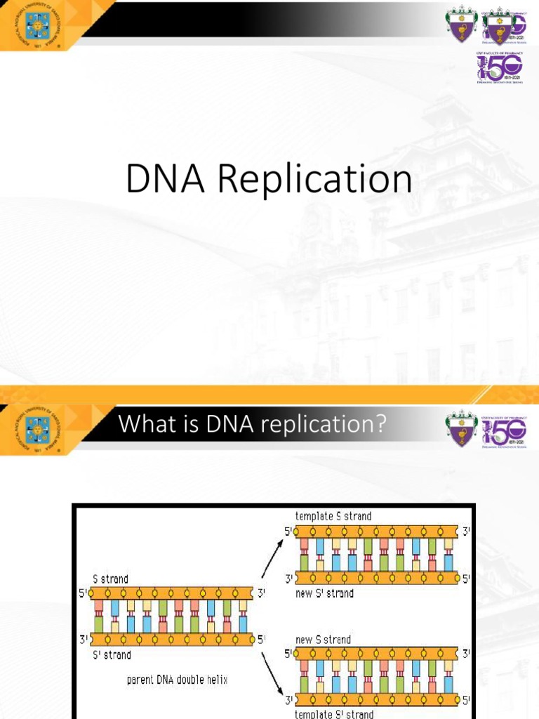 DNA Replication 2 | PDF