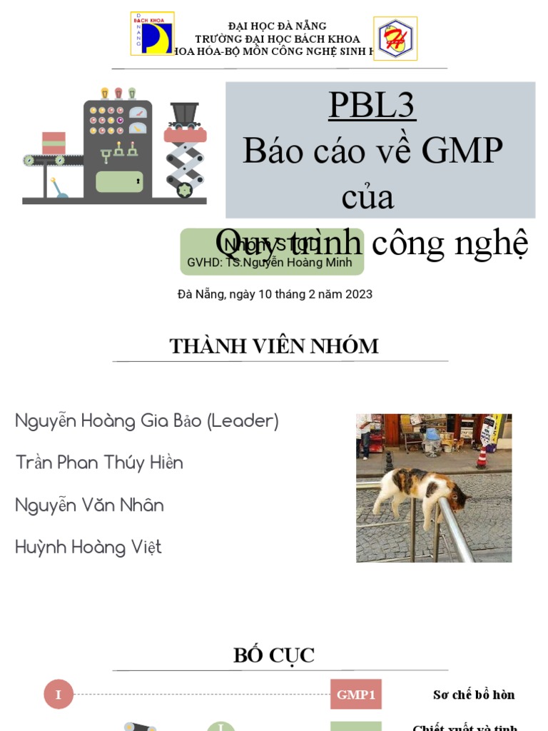 PBL3 - Báo Cáo 1 | PDF