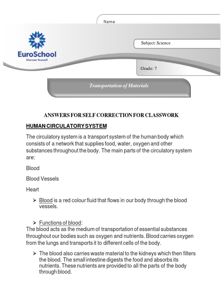 Grade7 Bio Chapter10 Transportation - CW&HW | PDF | Blood | Artery