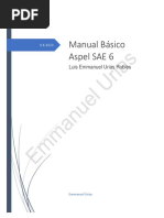 Manual de Usuario SAE | PDF | Ventana (informática) | Informática
