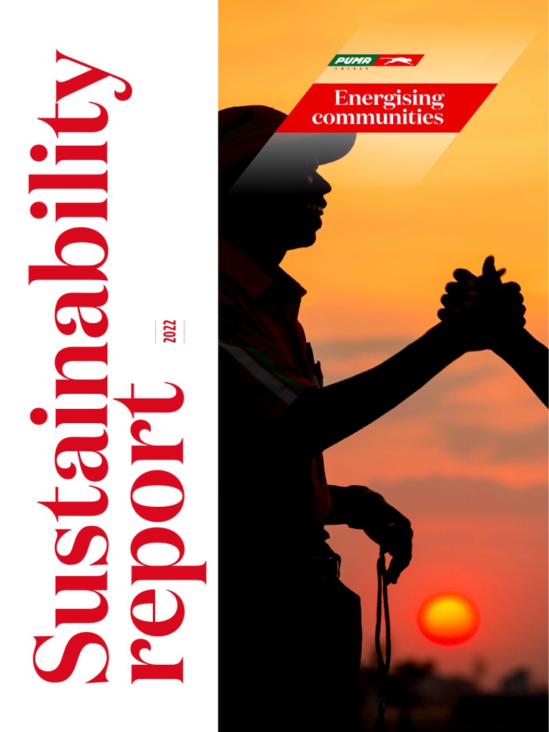 Puma Energy Sustainability Report 2022 | PDF | Sustainable Energy ...