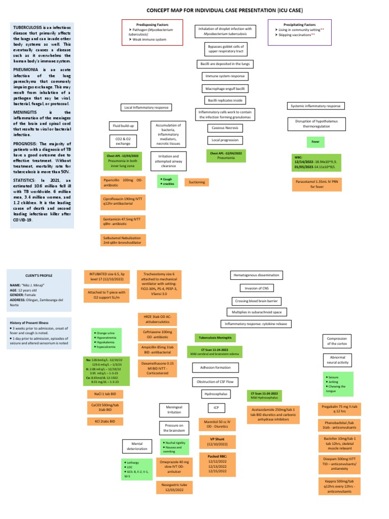 Concept Map | PDF | Pneumonia | Tuberculosis