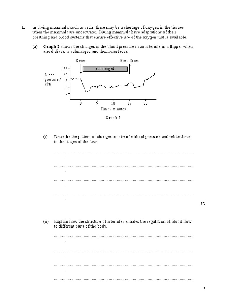 Blood Flow and Oxygen Adaptations in Seals | PDF | Breathing ...