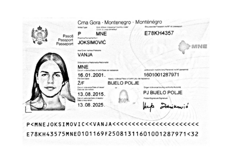 The Passport | PDF