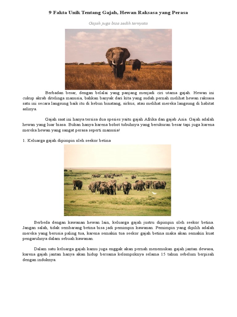 9 Fakta Unik Tentang Gajah | PDF