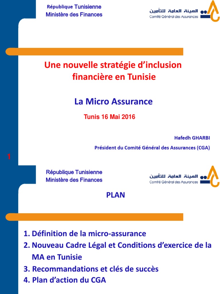 Inclusion financière par la micro-assurance | PDF | Assurance | Risque