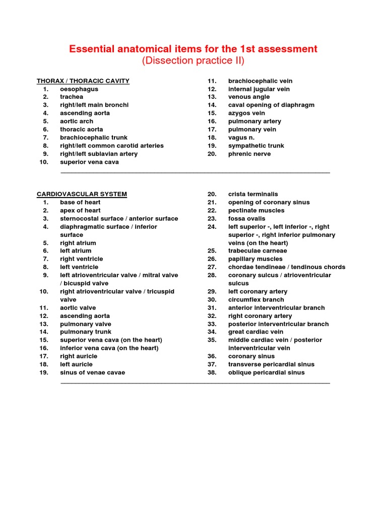 Essential anatomy for dissection assessments | PDF | Heart Valve | Heart