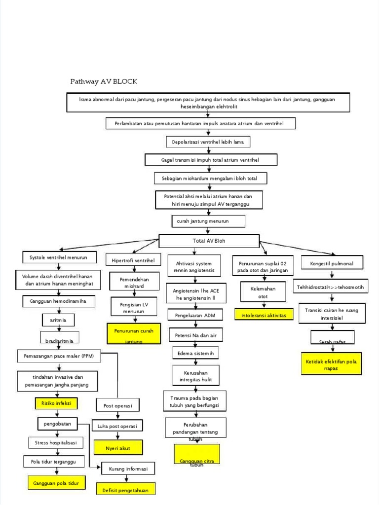 PDF Pathway Av Block Betul | PDF