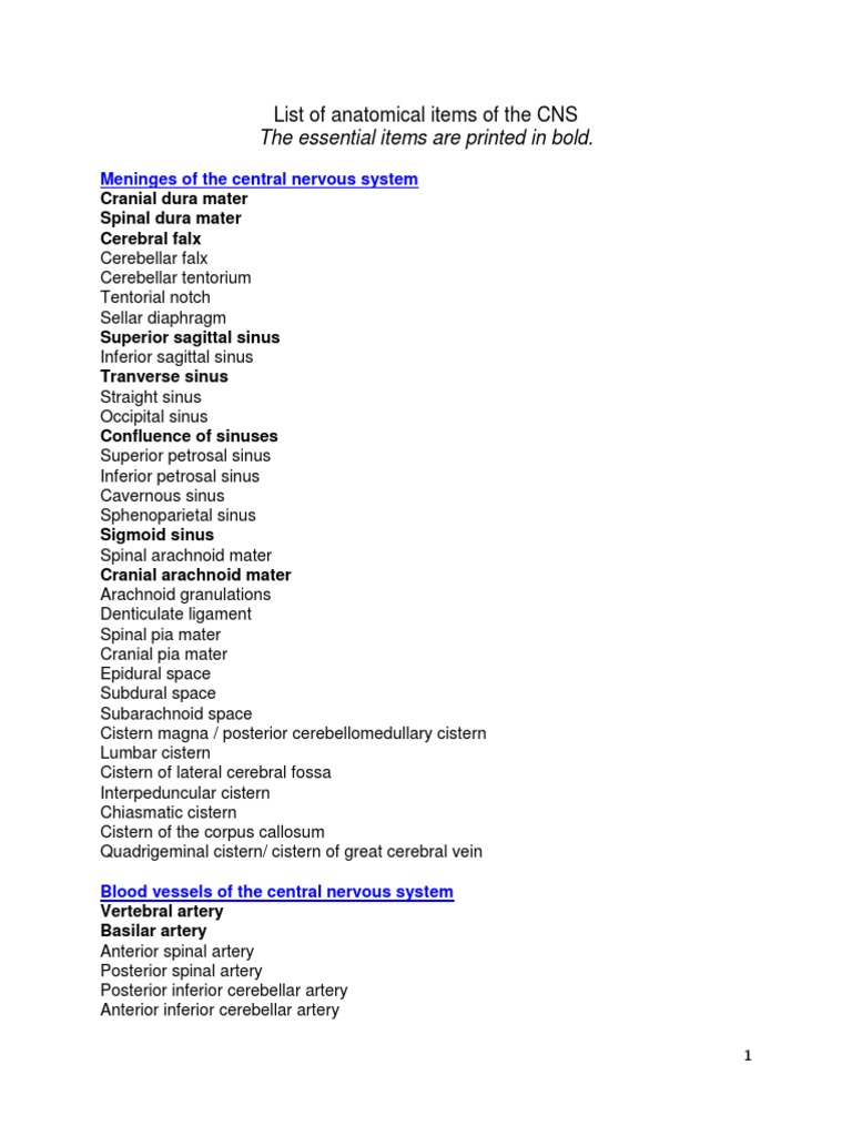 CNS - List of Anatomical Items (2020) | PDF | Cerebrum | Brain