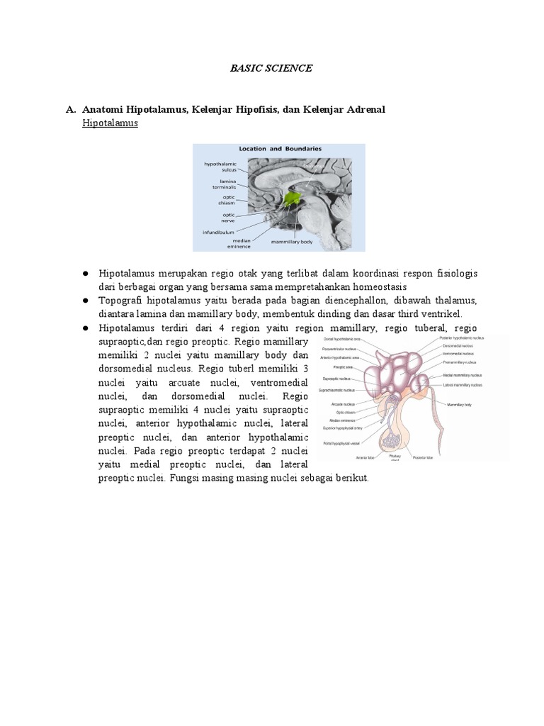 Cushing Syndrome | PDF