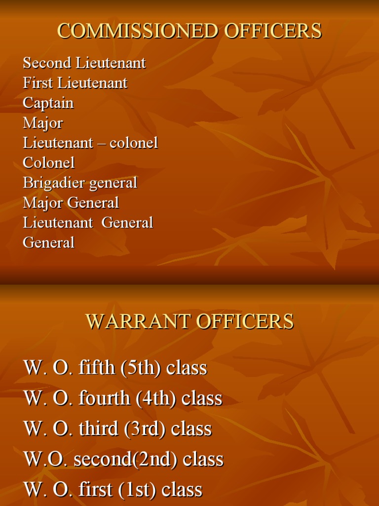 Romanian Military Rank Structure | PDF