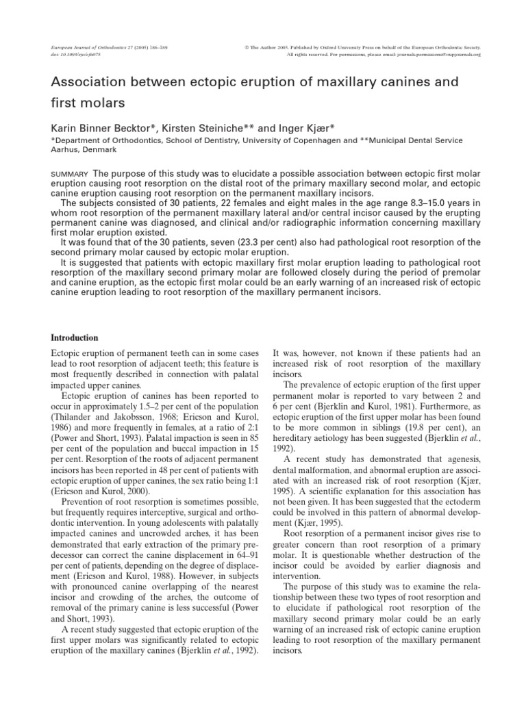 Association Between Ectopic Eruption of Maxillary Canines and First ...