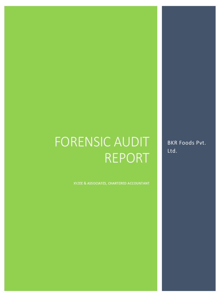 Forensic Audit Report: BKR Foods Pvt. Ltd. | PDF | Financial Audit | Audit