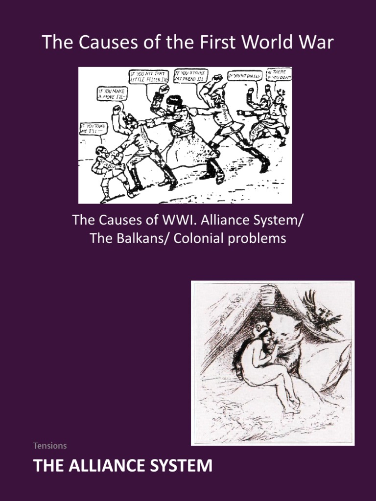 The Causes of The First World War | PDF | Austria Hungary | World War I