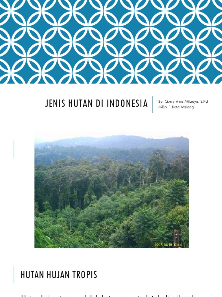 Jenis Hutan Di Indonesia | PDF