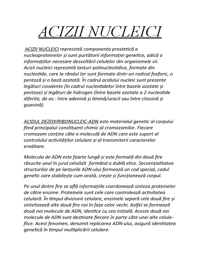 Acizii Nucleici | PDF