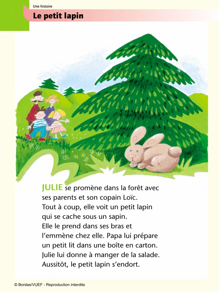 Un Petit Lapin - CP | PDF