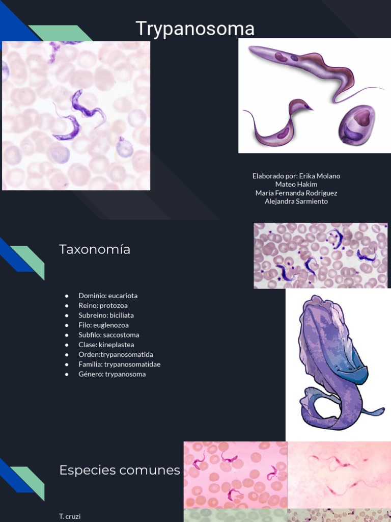 Trypanosoma | PDF