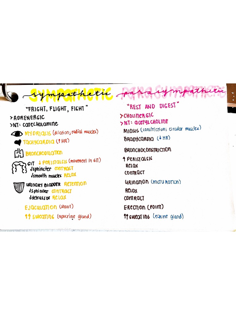 Pharmacology Notes | PDF