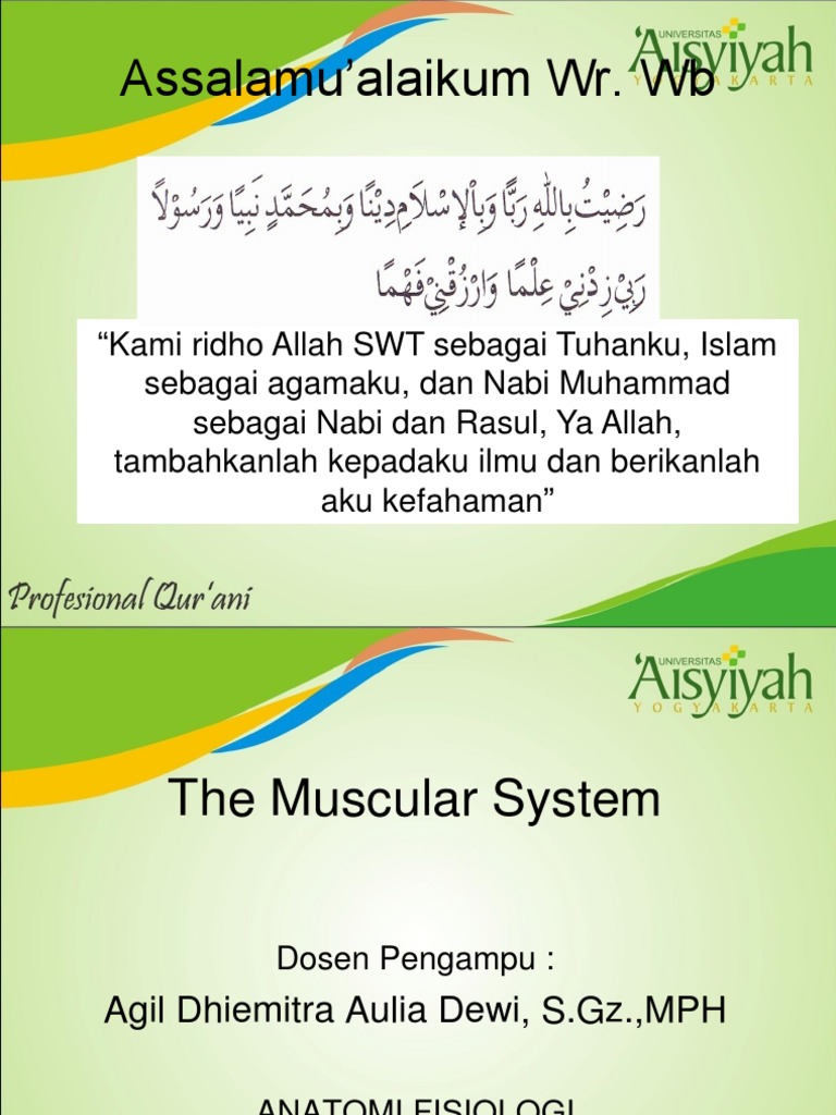 Pertemuan 3 - Sistem Muskular 2021-2022 | PDF