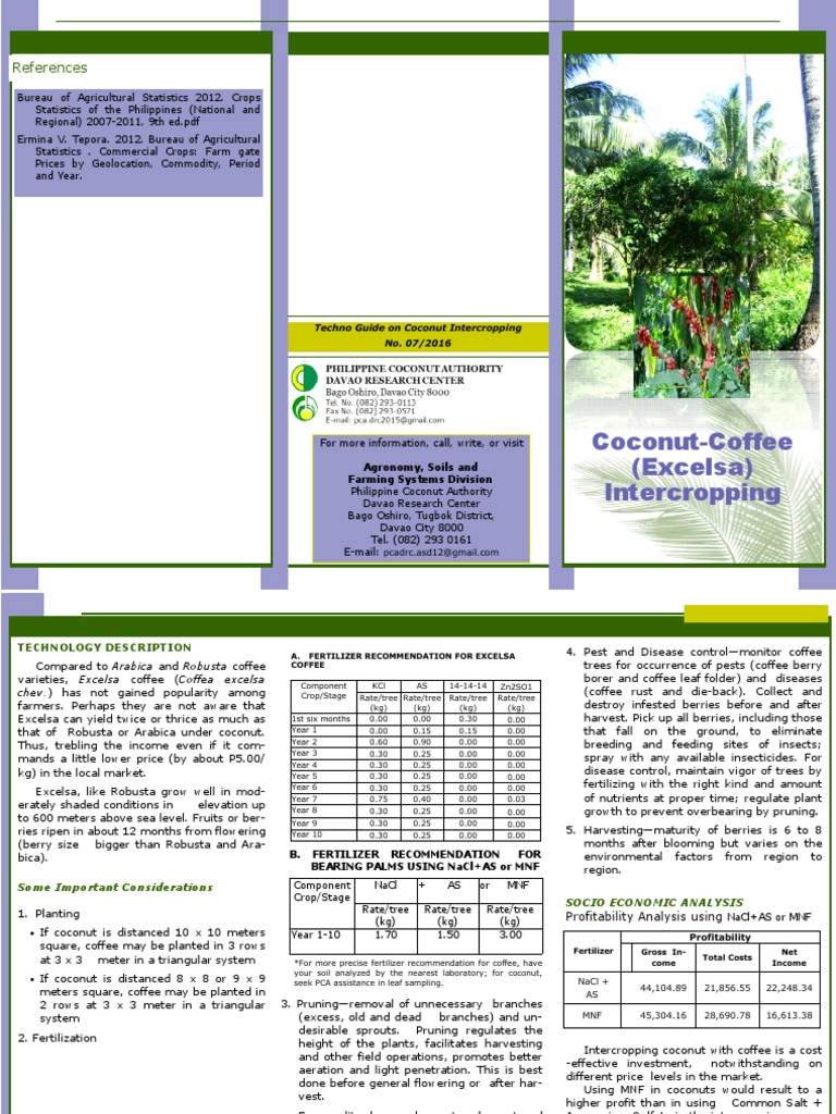 AS Coconut-Coffee | PDF | Coffee | Agriculture