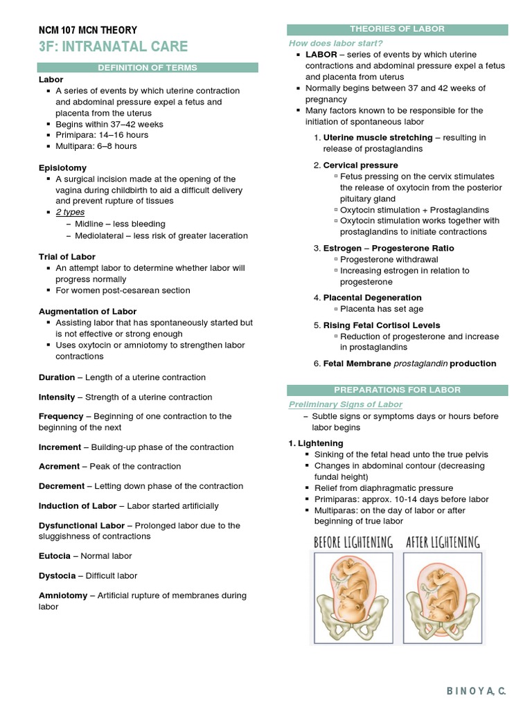 Understanding the Process of Labor: A Comprehensive Review of the ...