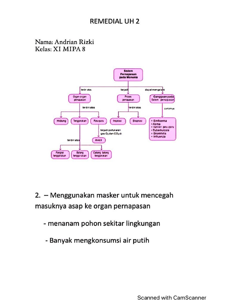 Remedial Uuh 2 Andrian Rizki 11 Mipa 8 | PDF
