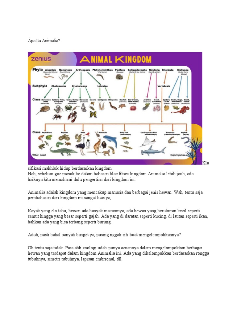 Klasifikasi dan Ciri Kingdom Animalia | PDF | Sains & Matematika