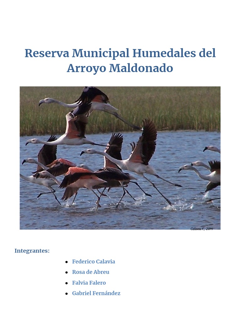 Humedal Salino Del Arroyo Maldonado | PDF | Uruguay | Humedal