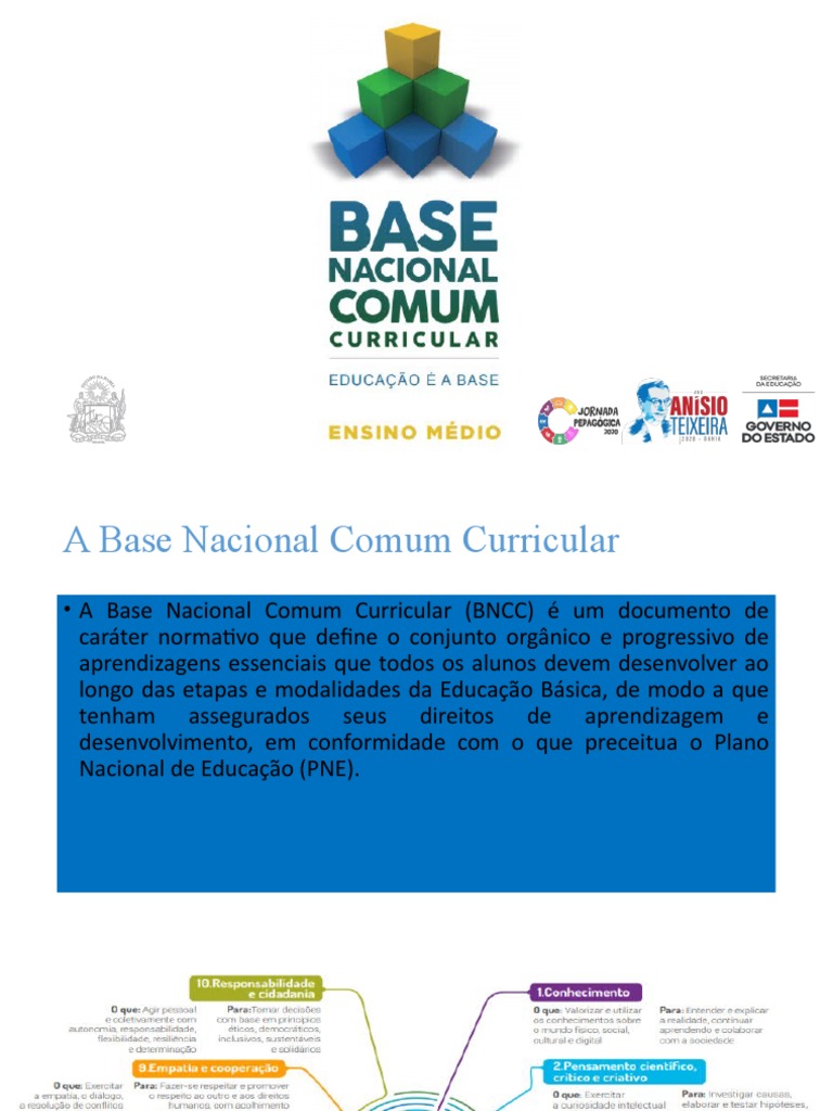 Slide - BNCC - Novo Ensino Médio | PDF