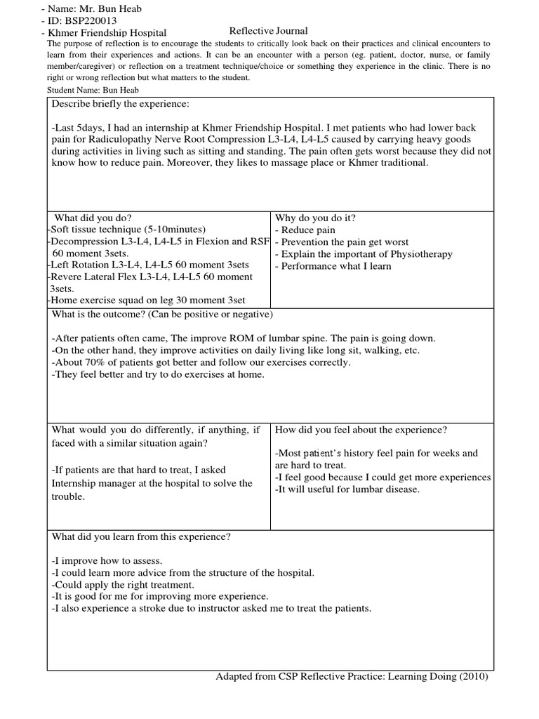 Reflective Journal on Physiotherapy Internship | PDF | Pain | Patient