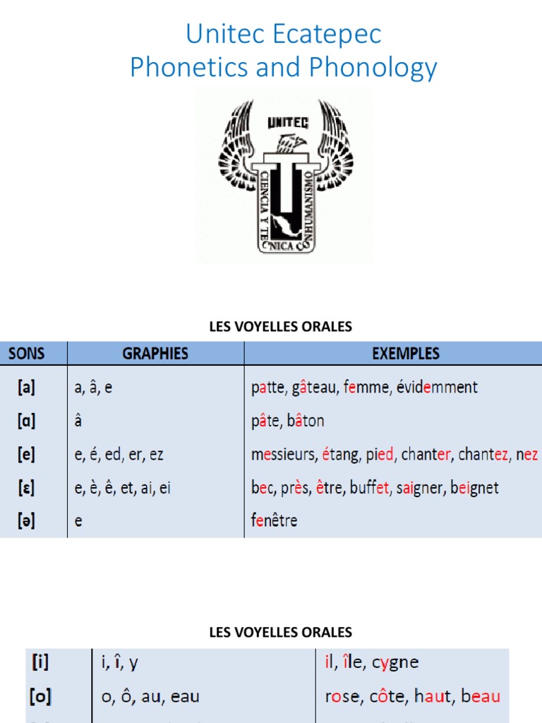 Phonétique et Exercices en Français | PDF | Phonétique | Voix humaine