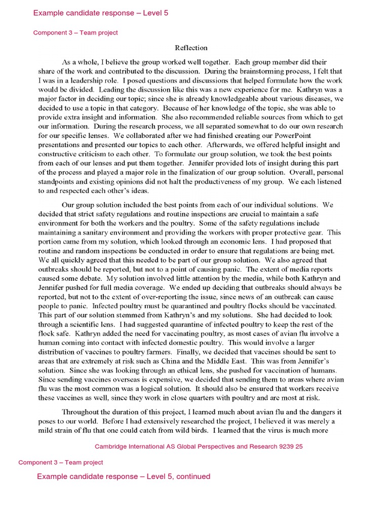 Example Candidate Response High For Reflective Essay | PDF