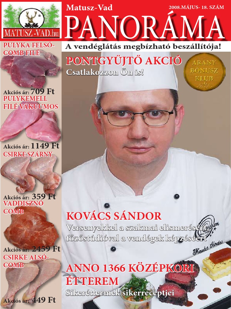 Matusz Vad - Panoráma Magazin 2008 Május | PDF