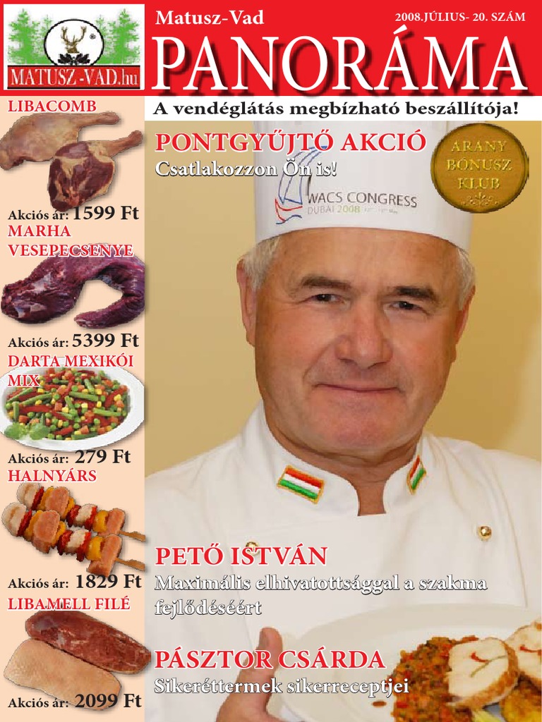 Matusz Vad - Panoráma Magazin 2008 Július | PDF