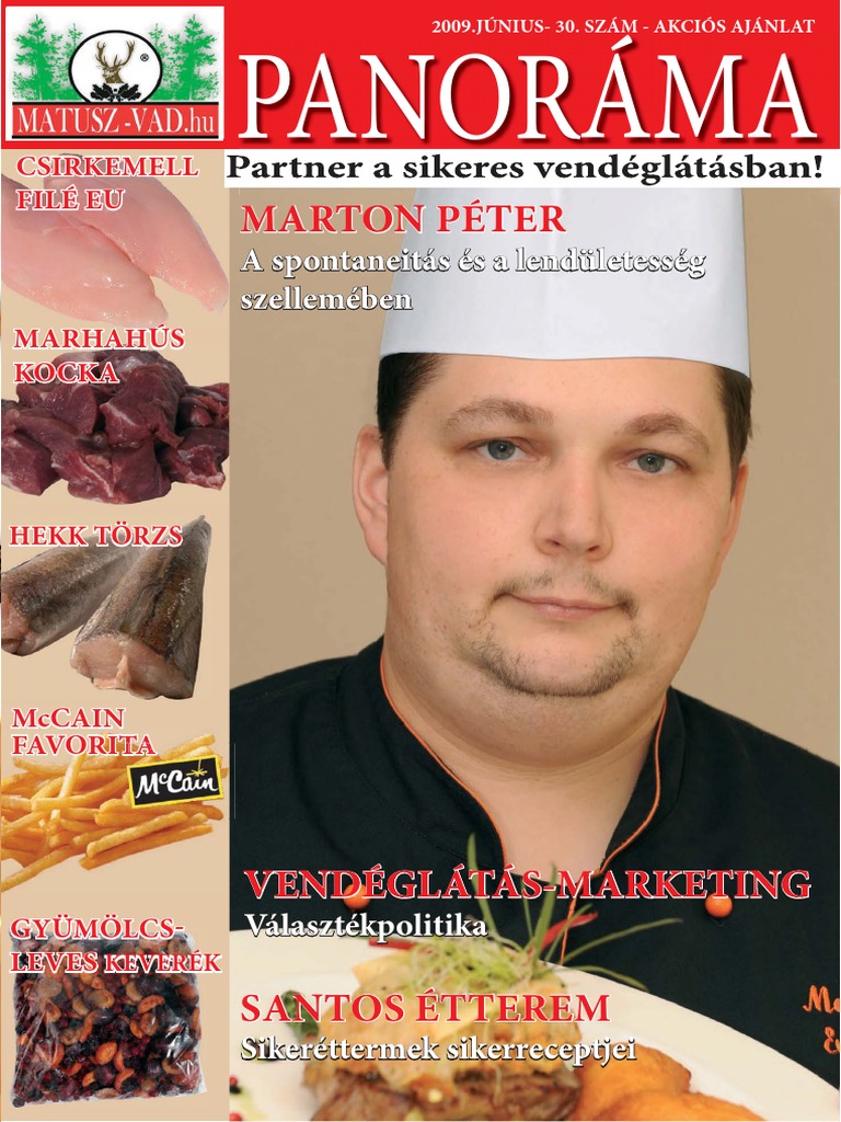 Matusz Vad - Panoráma Magazin 2009 Június | PDF
