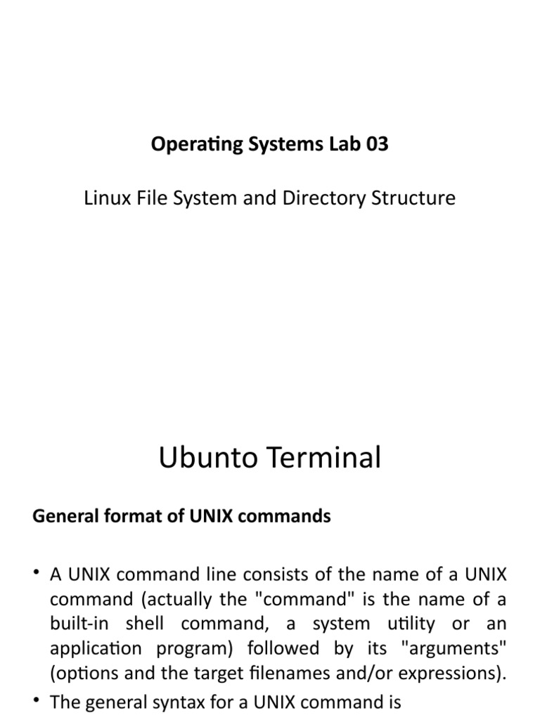 Lab 03 | PDF | Filename | Computer File
