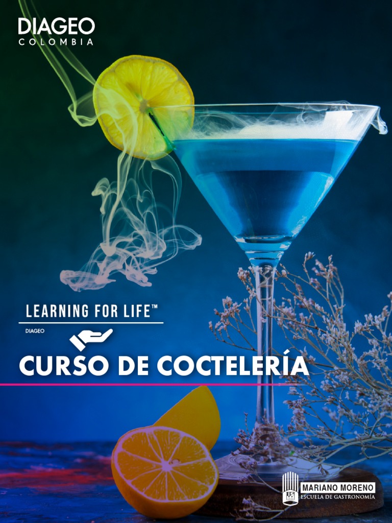 Diageo Learning For Life Material de Apoyo | PDF | Whisky | Ginebra