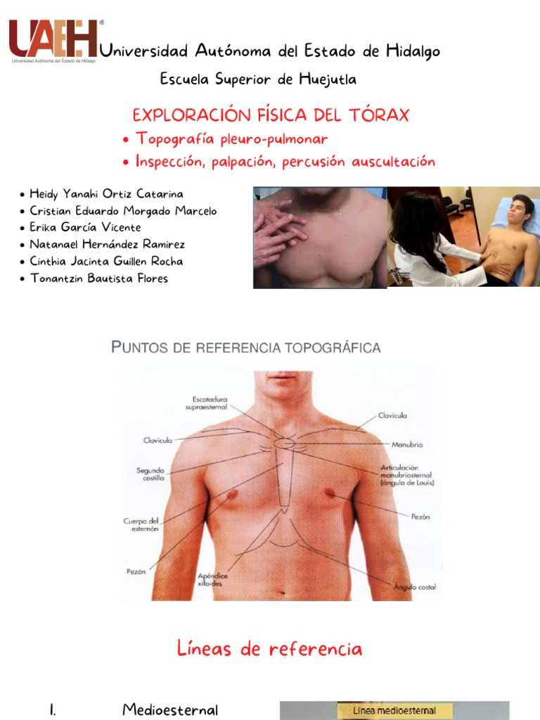 EXPLORACIÓN FÍSICA DEL TÓRAX Toporafía Pleuro-Pulmonar Inspección ...