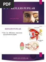 Prueba de Llenado Capilar: Procedimiento y Valores | PDF