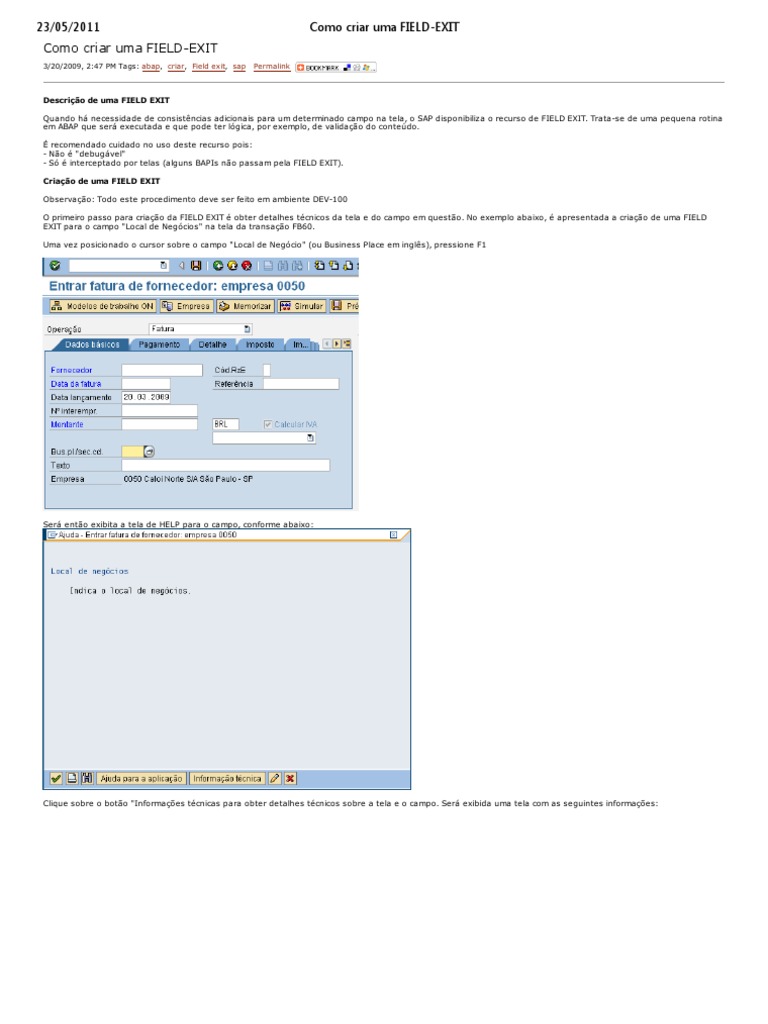 Como Criar Uma FIELD-EXIT | PDF | Compilador | Informática