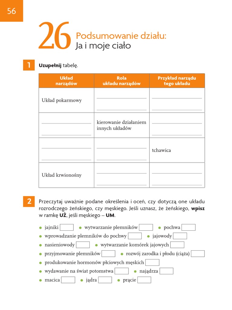 Ja I Moje Ciało: Podsumowanie Działu | PDF