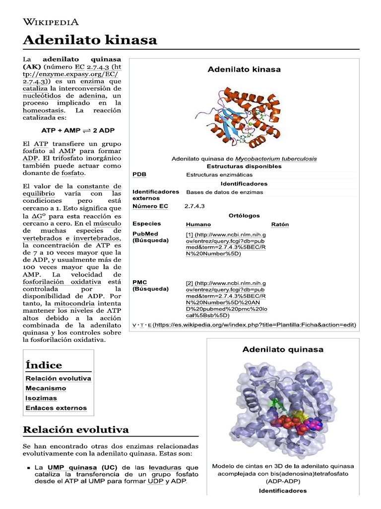 Adenilato Kinasa | PDF