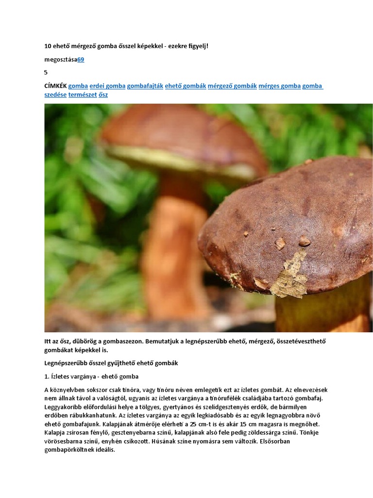 10 Ehető Mérgező Gomba Ősszel Képekkel | PDF